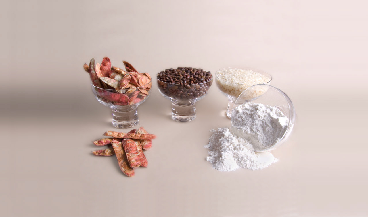 Goma Tara Peruana | Exportize Funcional Ingredients